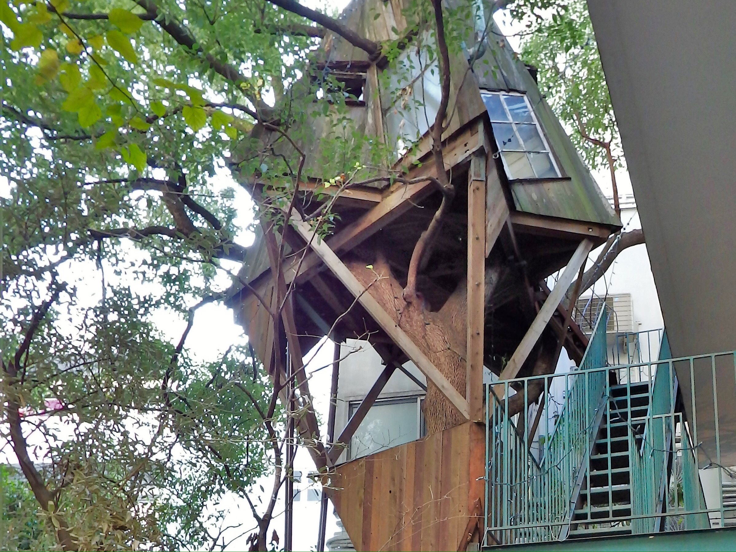 Tokyo Neighborhoods: Shirokanedai